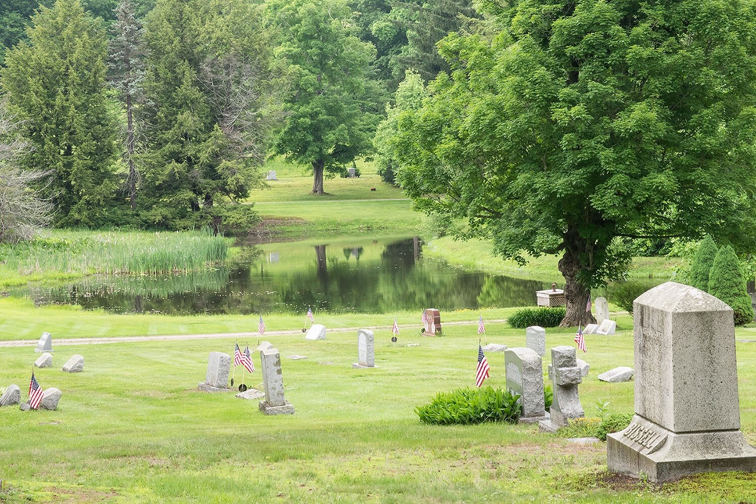 Jane Hopkins Photography