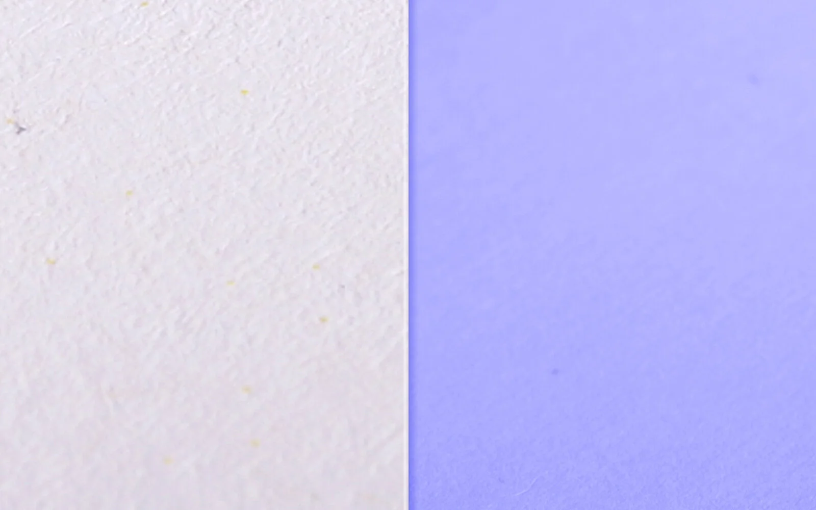 Book Materials: Print & Bind - Learn about printing, binding and ...