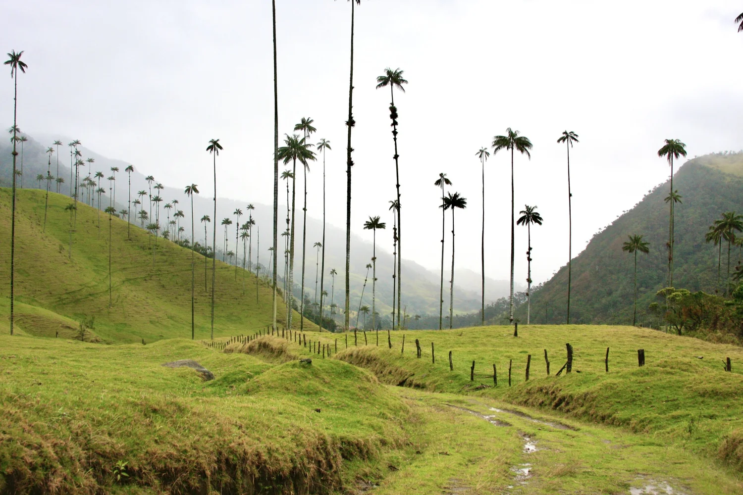 Colombia — Lift Life Travel: Backpacking for Women