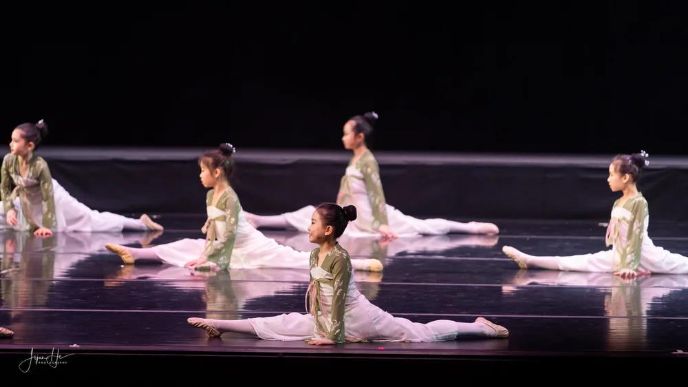 PHOENIX CHINESE DANCE ACADEMY