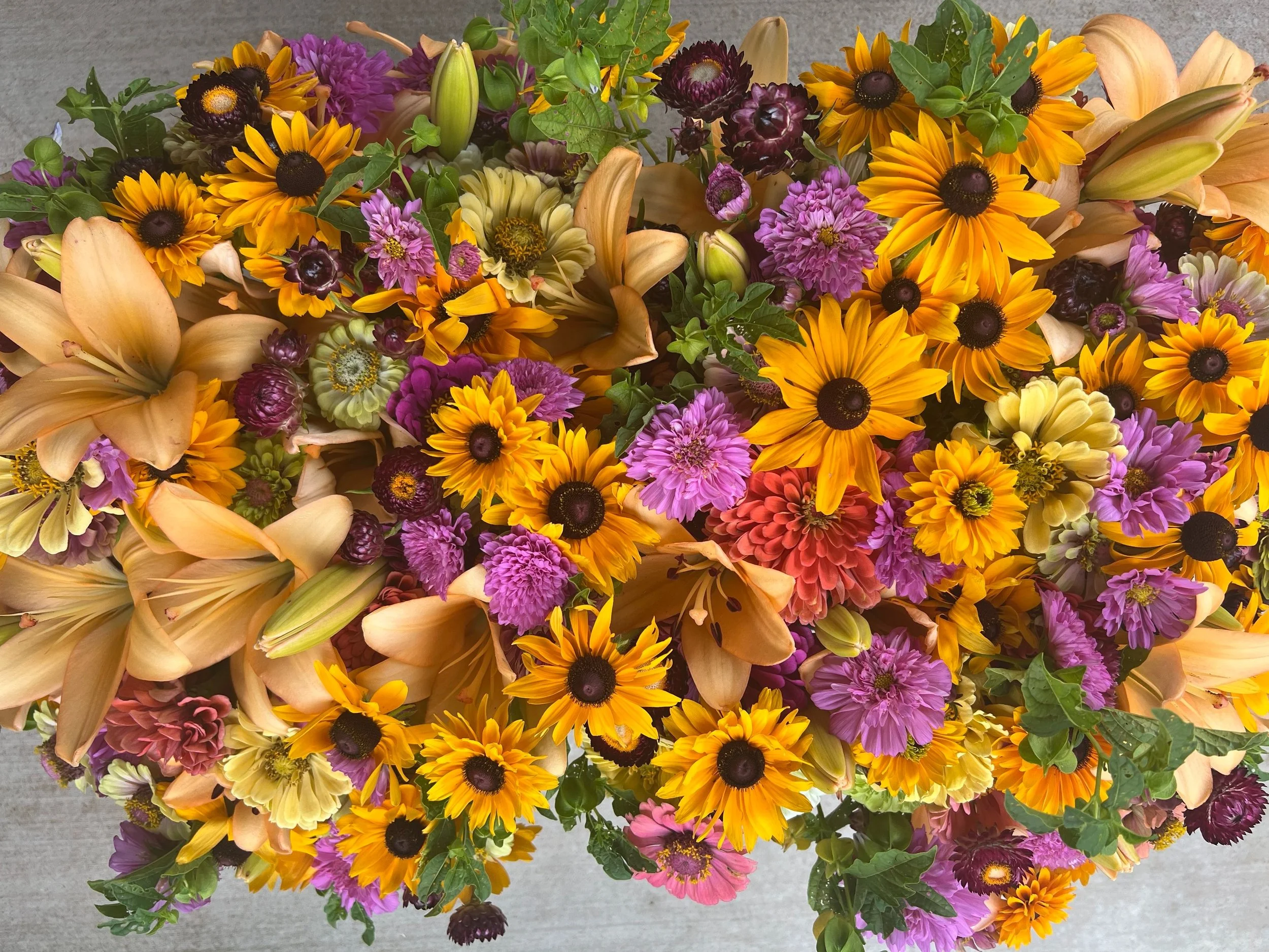 mountain state flower farm