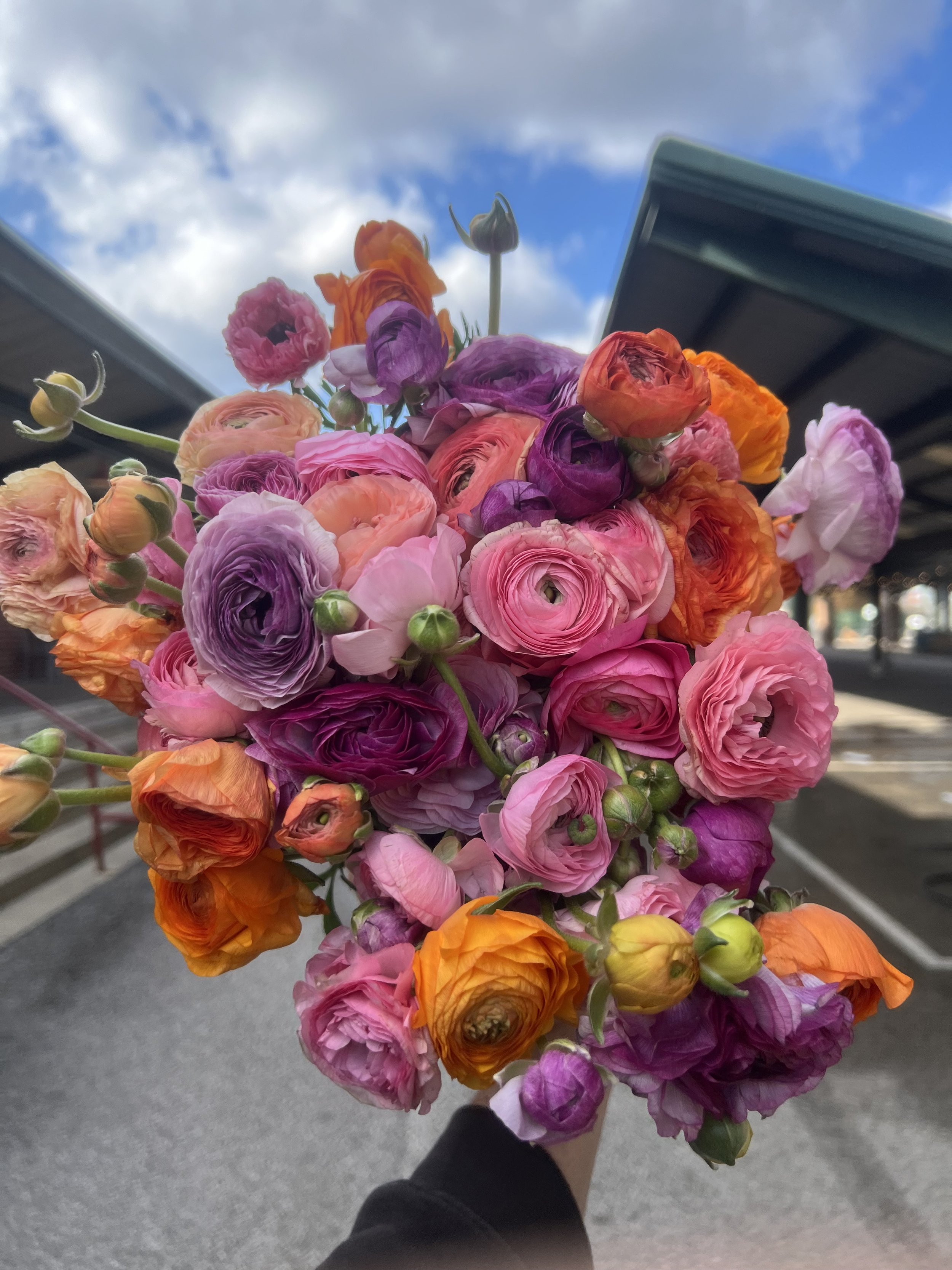 mountain state flower farm