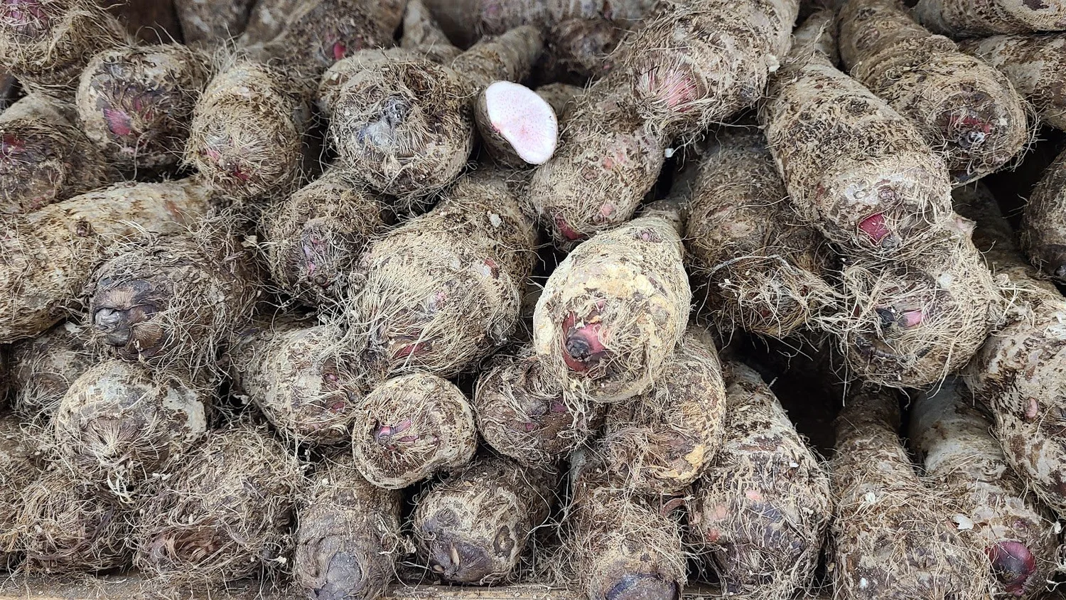 Know Thy Cocoyams — kengskitchen