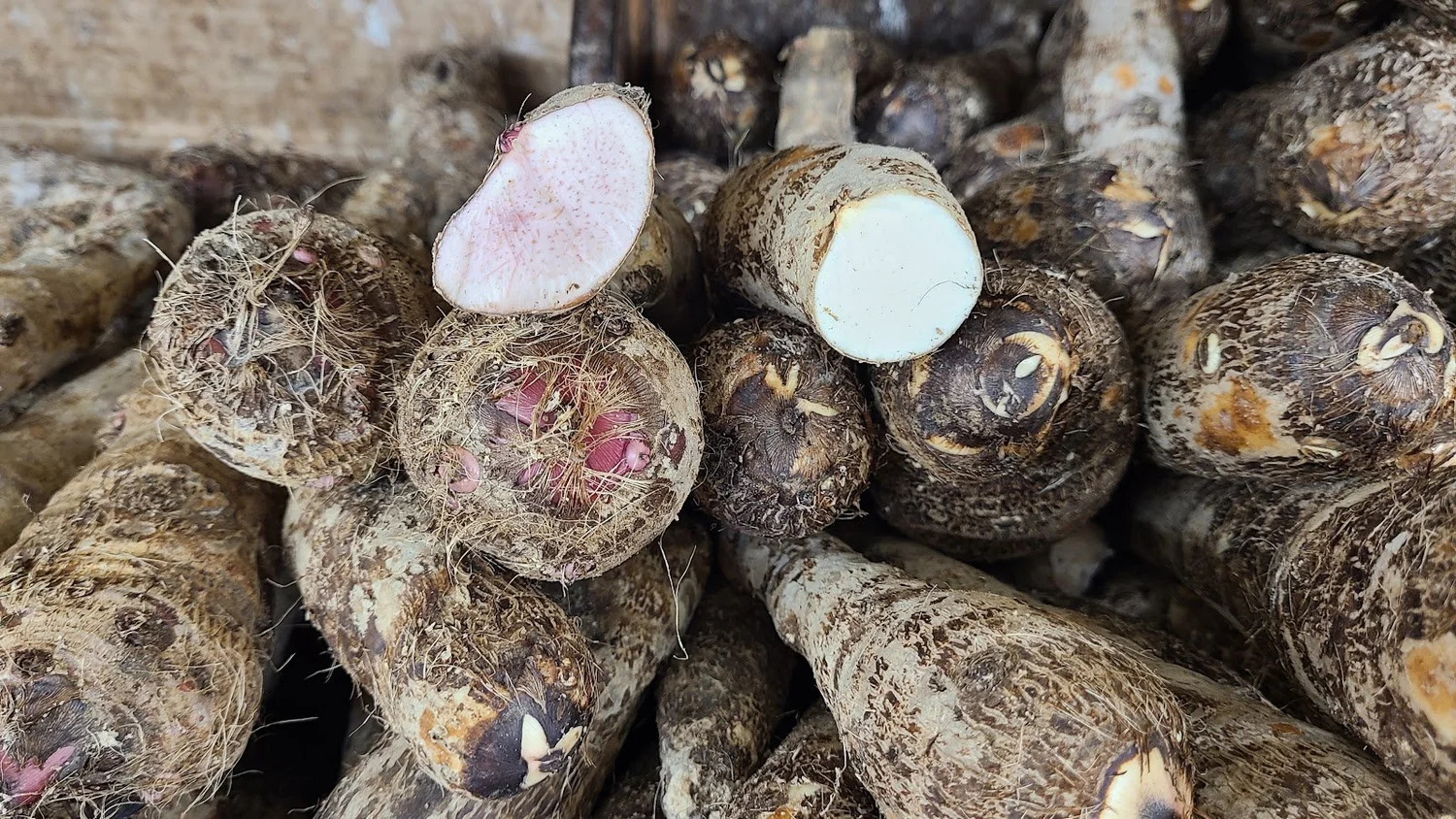 Know Thy Cocoyams — kengskitchen