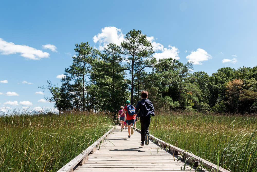 4 Reasons for Families to Love York River State Park