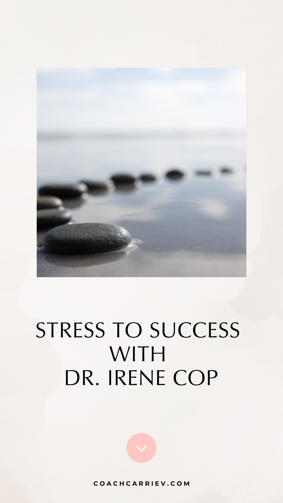 Stress to Success with Dr. Irene Cop — Carrie Vee
