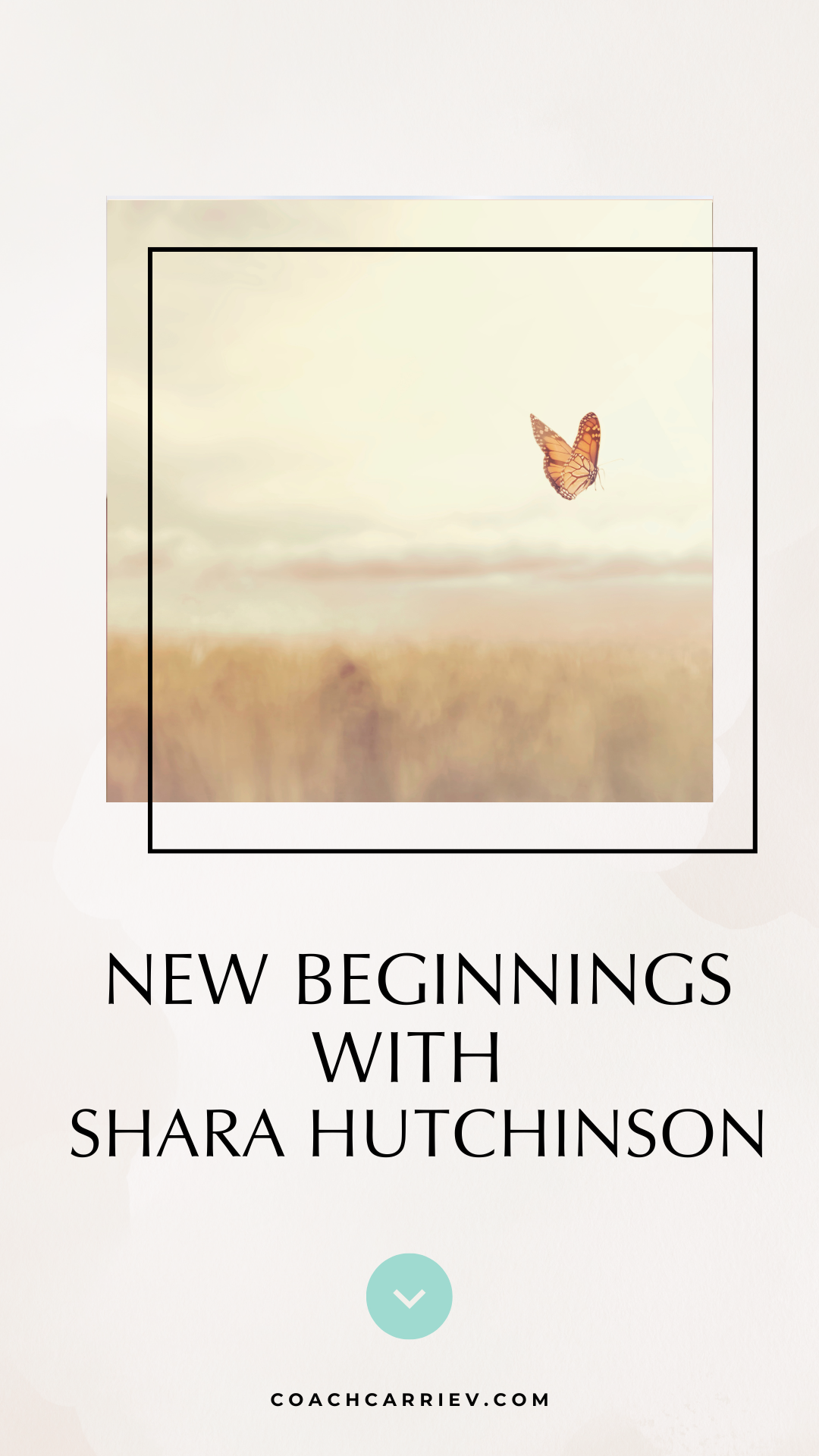 New Beginnings with Shara Hutchinson — Carrie Vee