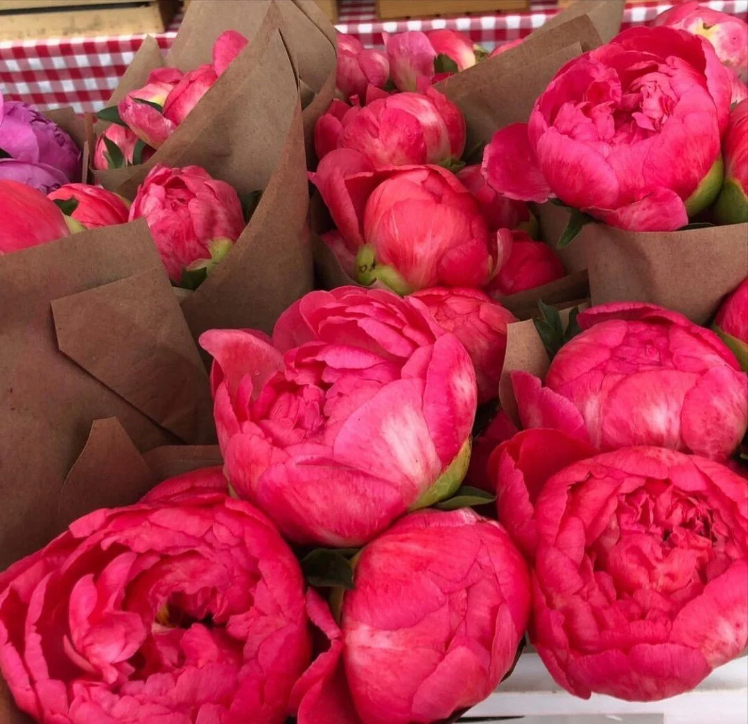 The Boise Farmers Market