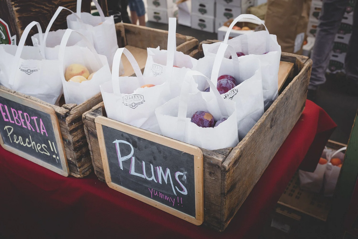 SNAP/EBT Program — The Boise Farmers Market