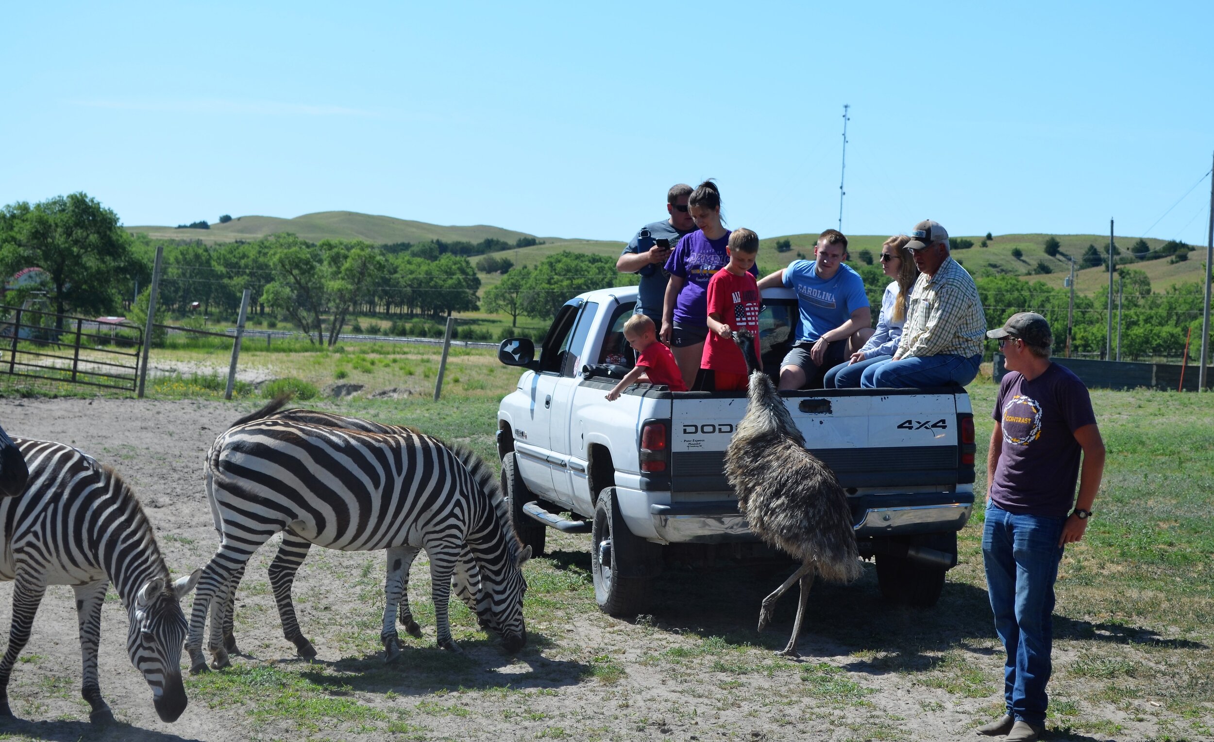 Ranch Tours | Stable Productions Exotic Animal Ranch
