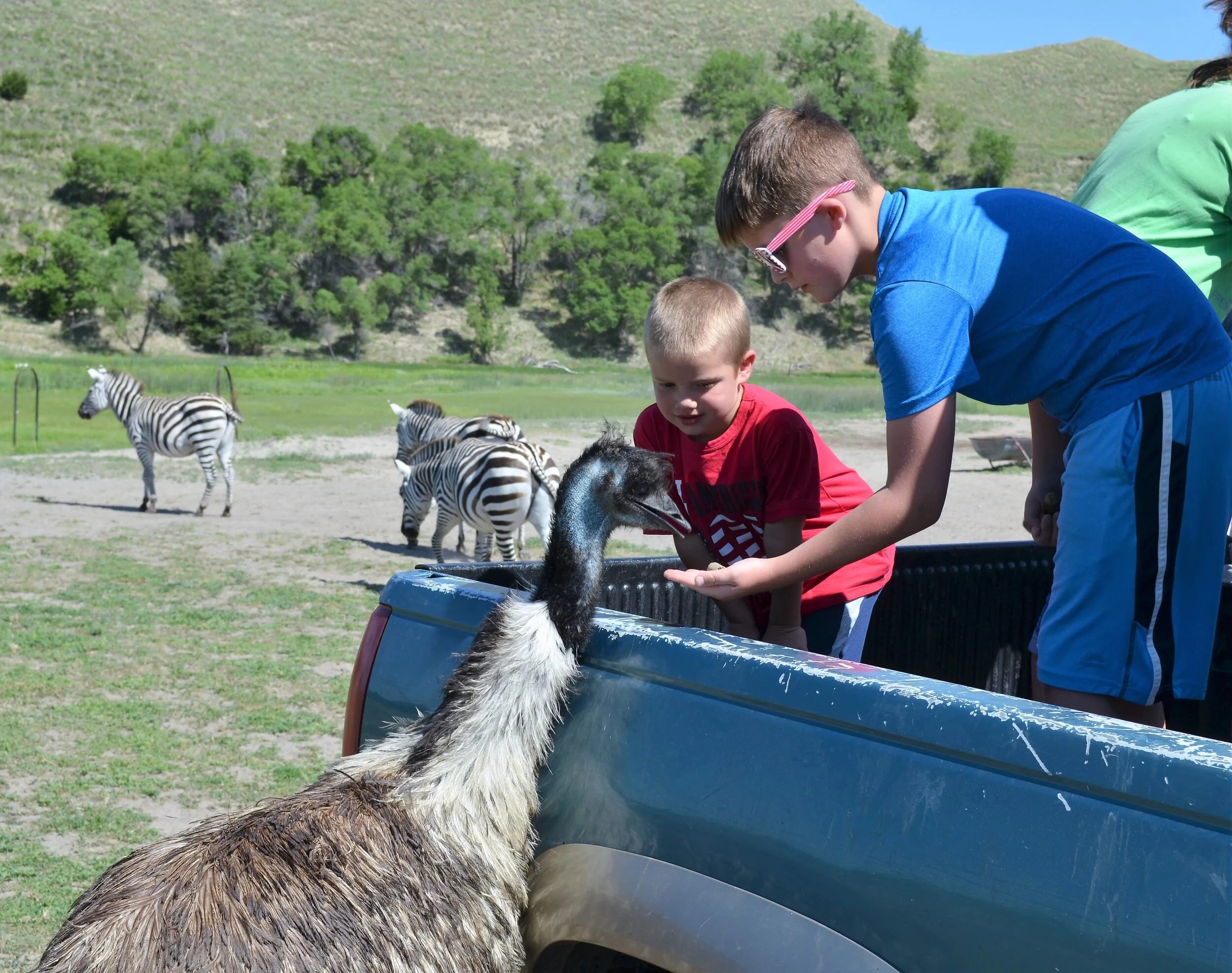 Ranch Tours | Stable Productions Exotic Animal Ranch