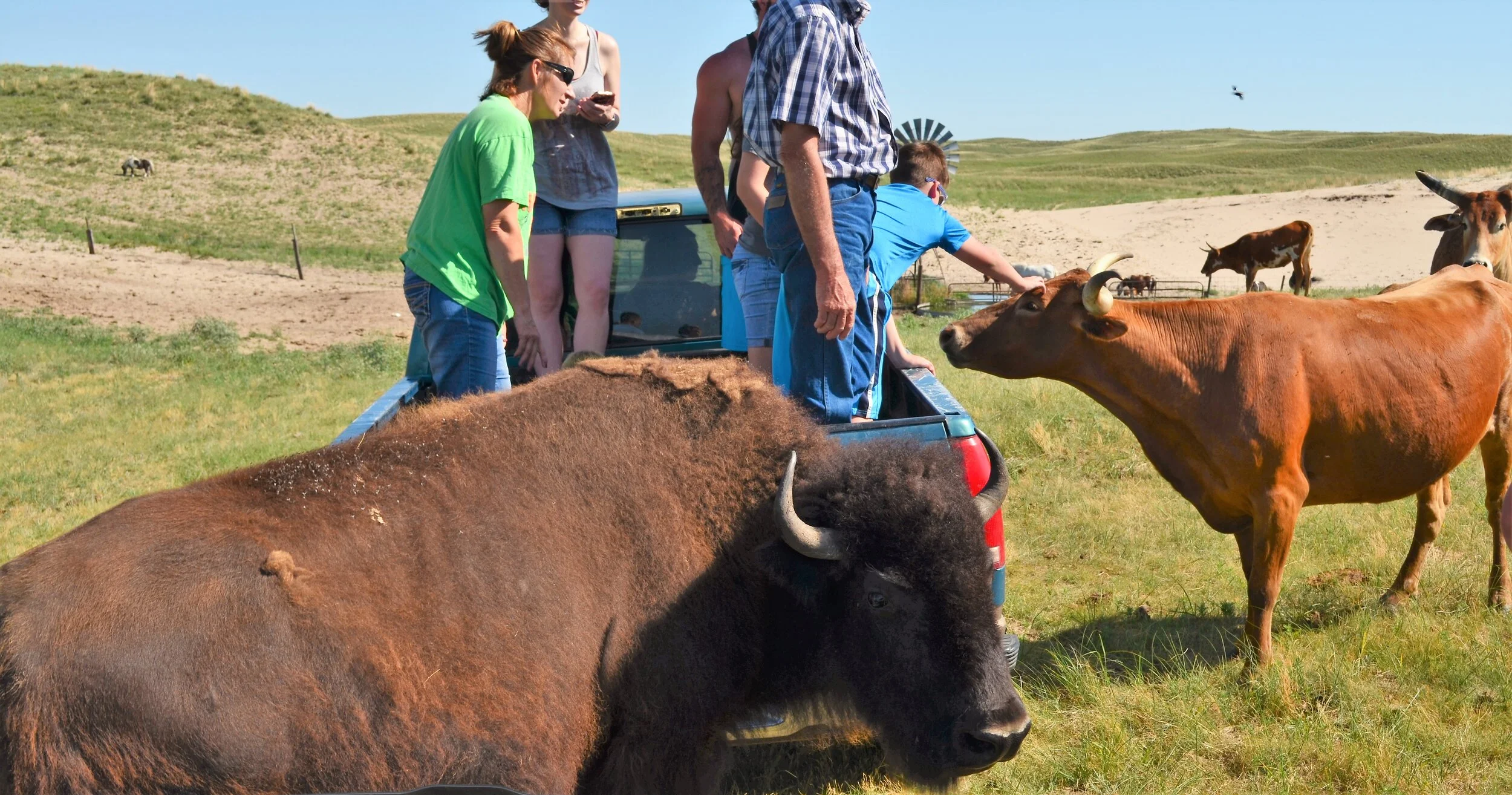 Ranch Tours | Stable Productions Exotic Animal Ranch