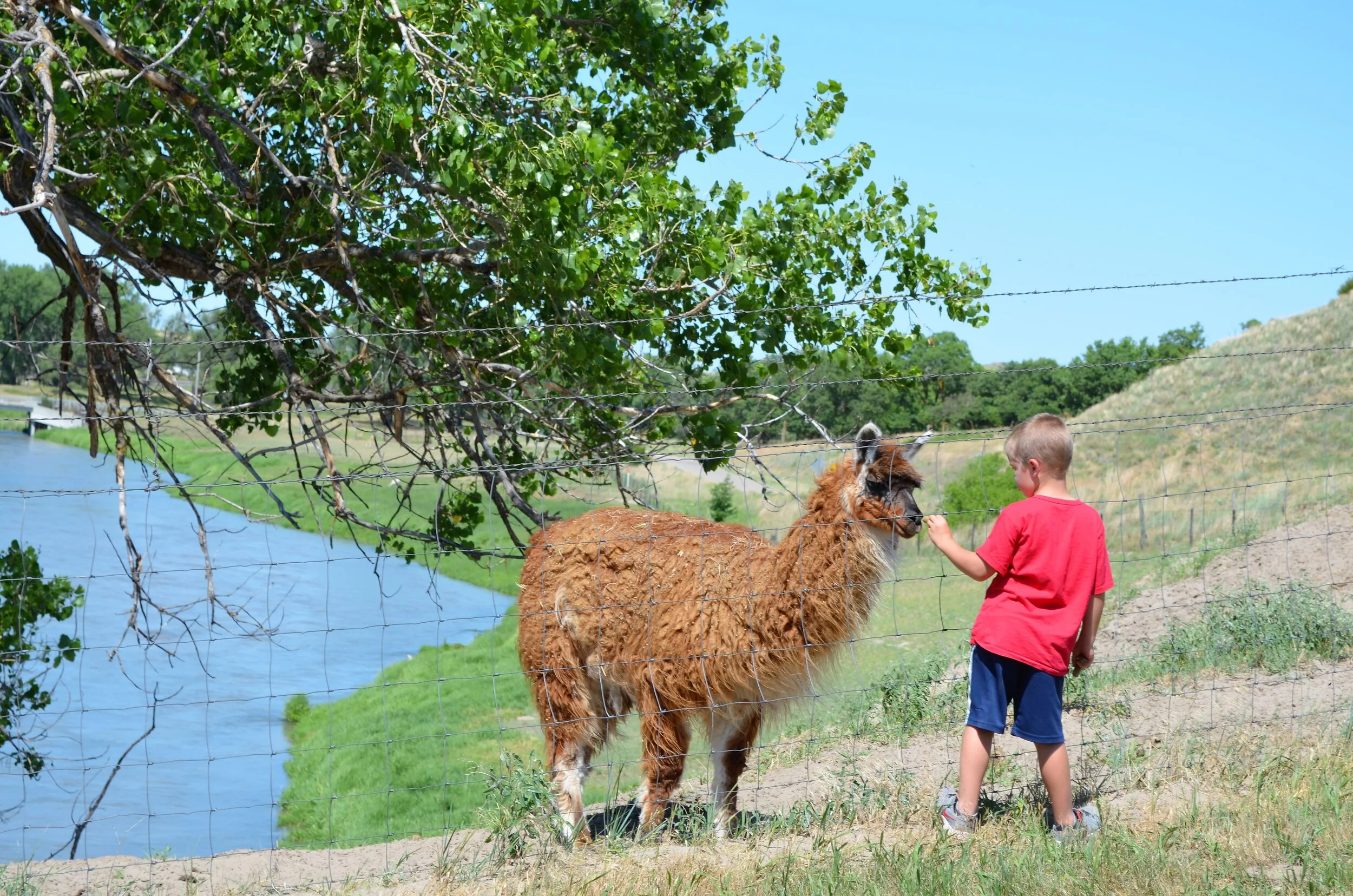 Ranch Tours | Stable Productions Exotic Animal Ranch