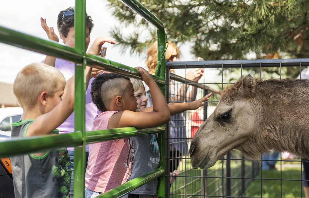 Petting Zoo | Stable Productions Exotic Animal Ranch
