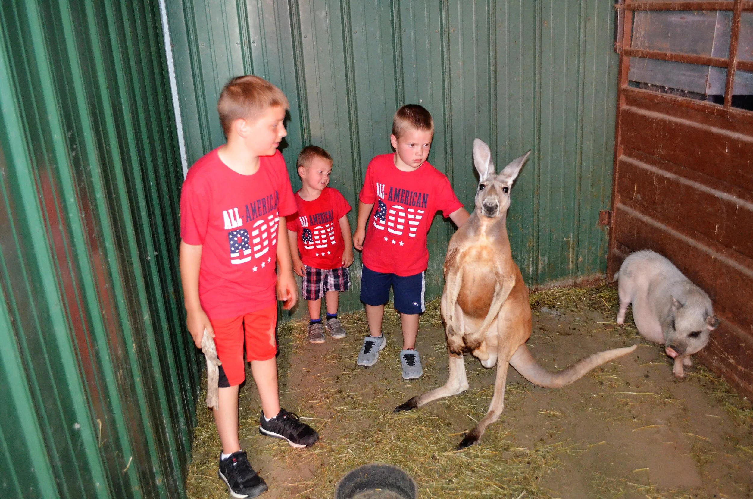 Ranch Tours — Stable Productions Exotic Animal Ranch