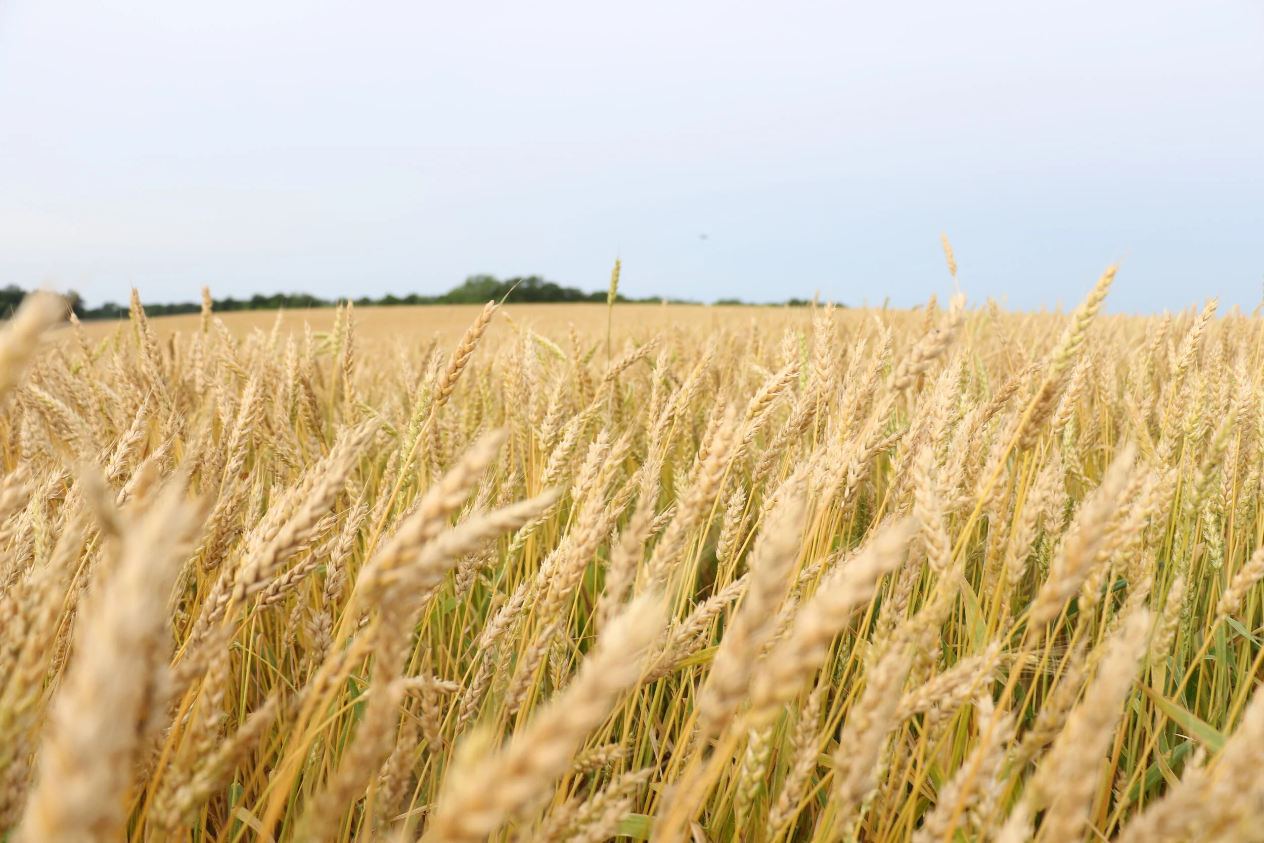 Careers — Logan Agri-Service, Inc.