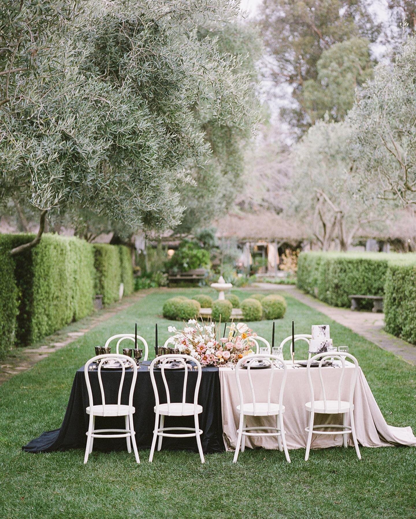 Editorial — Studio Opia