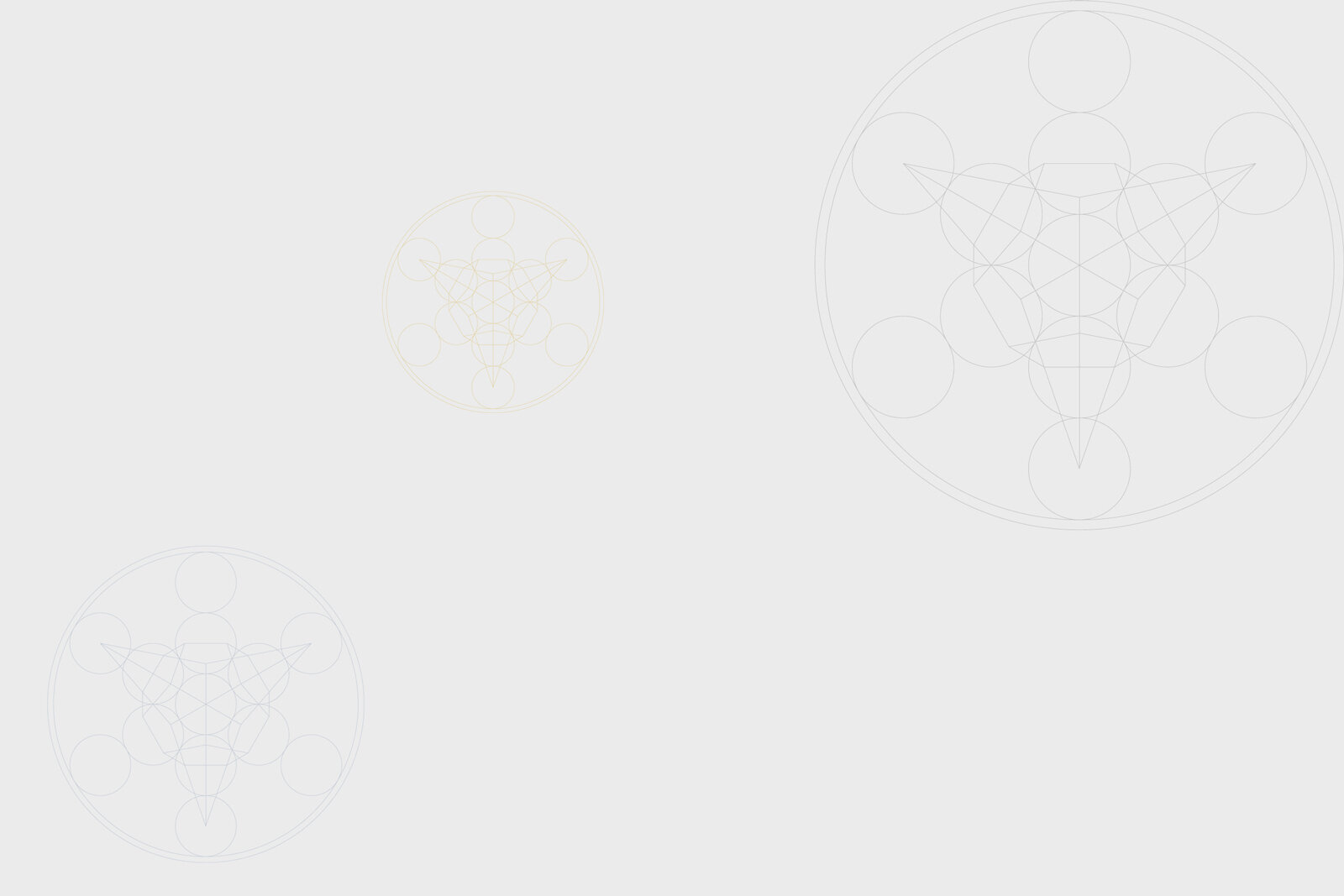 Paragon Performance Evolution