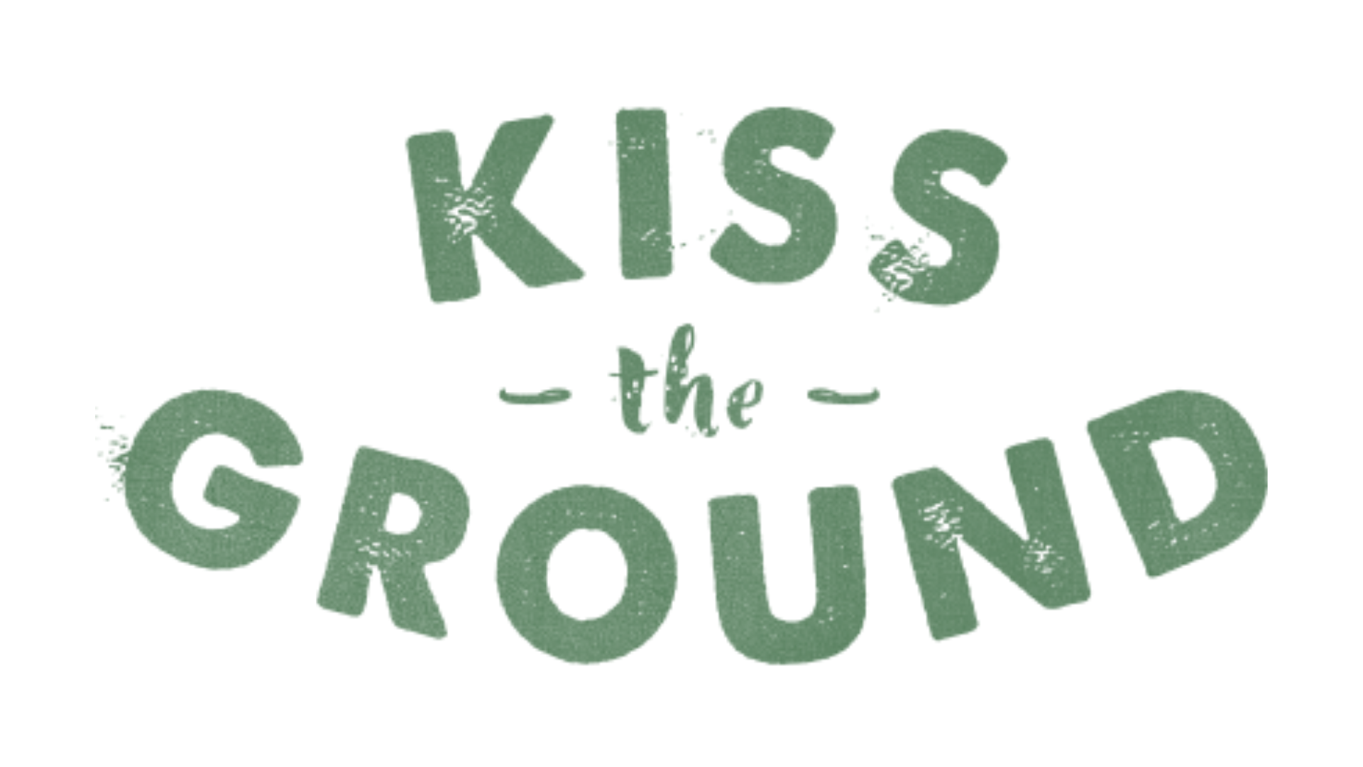 Paragon Performance Evolution