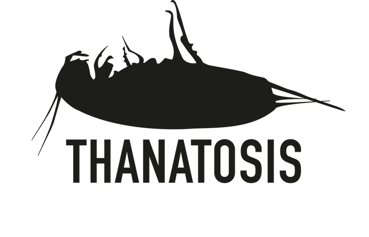 joakim forsgren & andreas hiroui larsson — thanatosis
