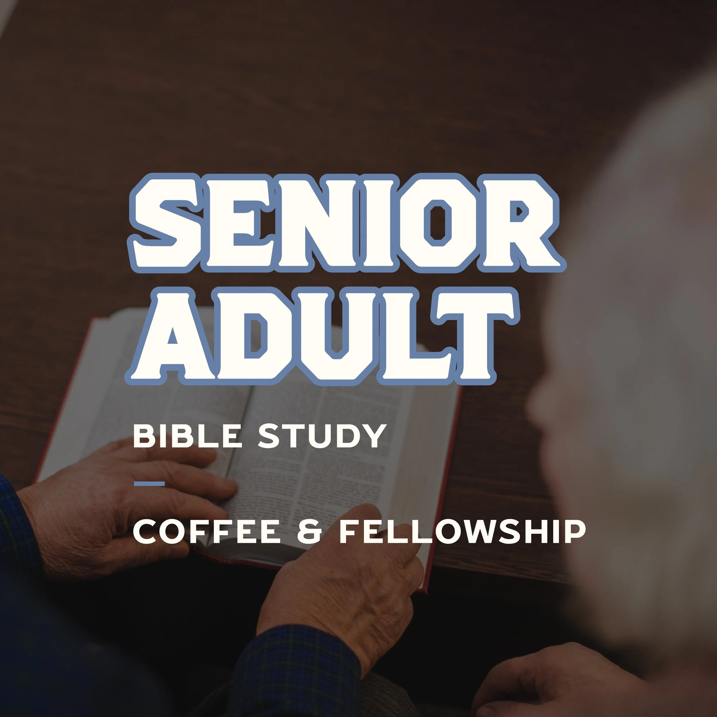 ADULT BIBLE STUDIES — MTN CHURCH