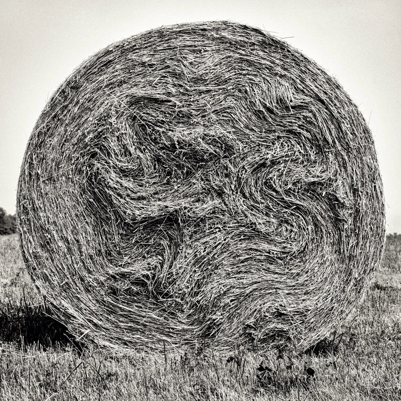 Rick Chapman — YJ Contemporary Fine Art