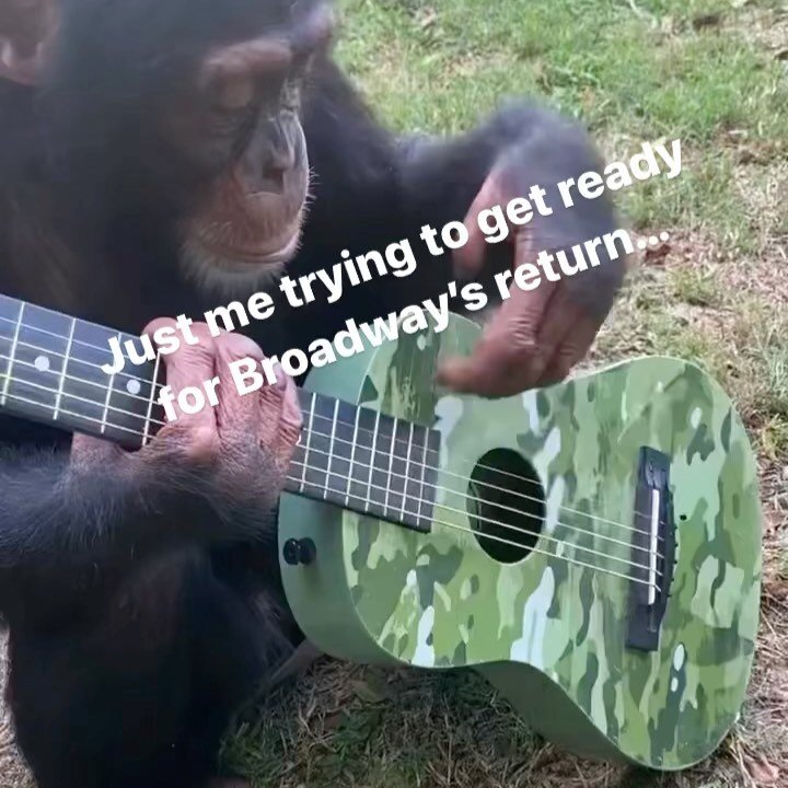 Projects — Michael Patrick Walker