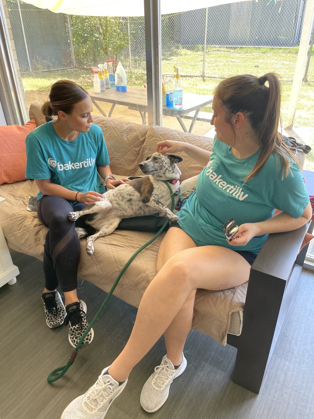 Volunteer — Cane Rosso Dog Rescue