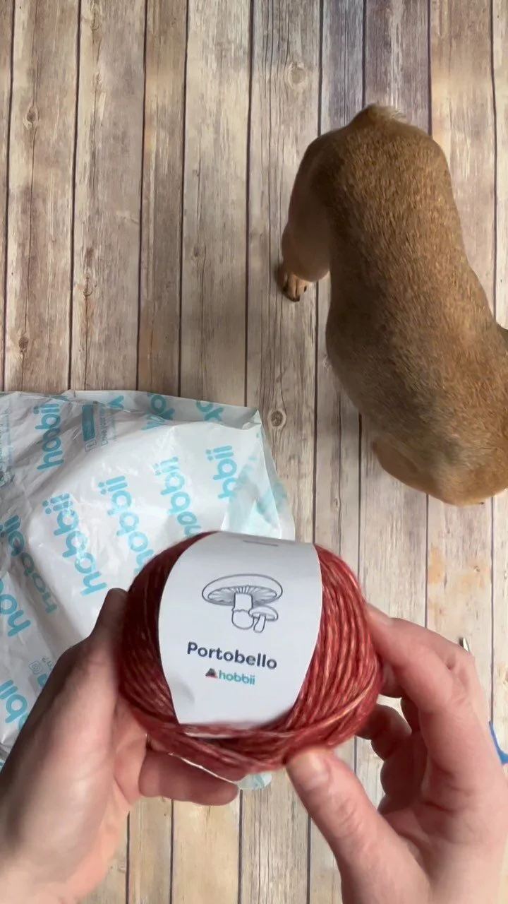 Modern Crochet and Tunisian Crochet Patterns — Capital Crochet