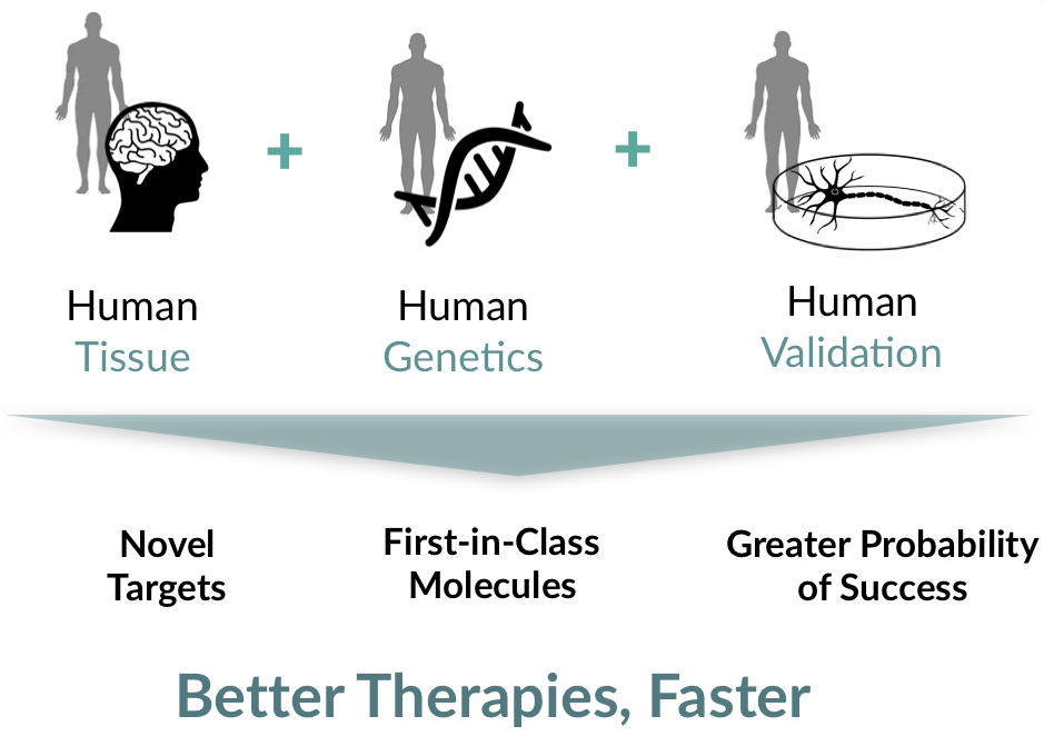 Approach — Verge Genomics