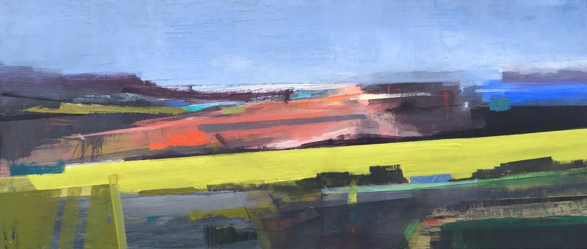 Anne Rowland: Artist based in Sheffield producing vibrant paintings