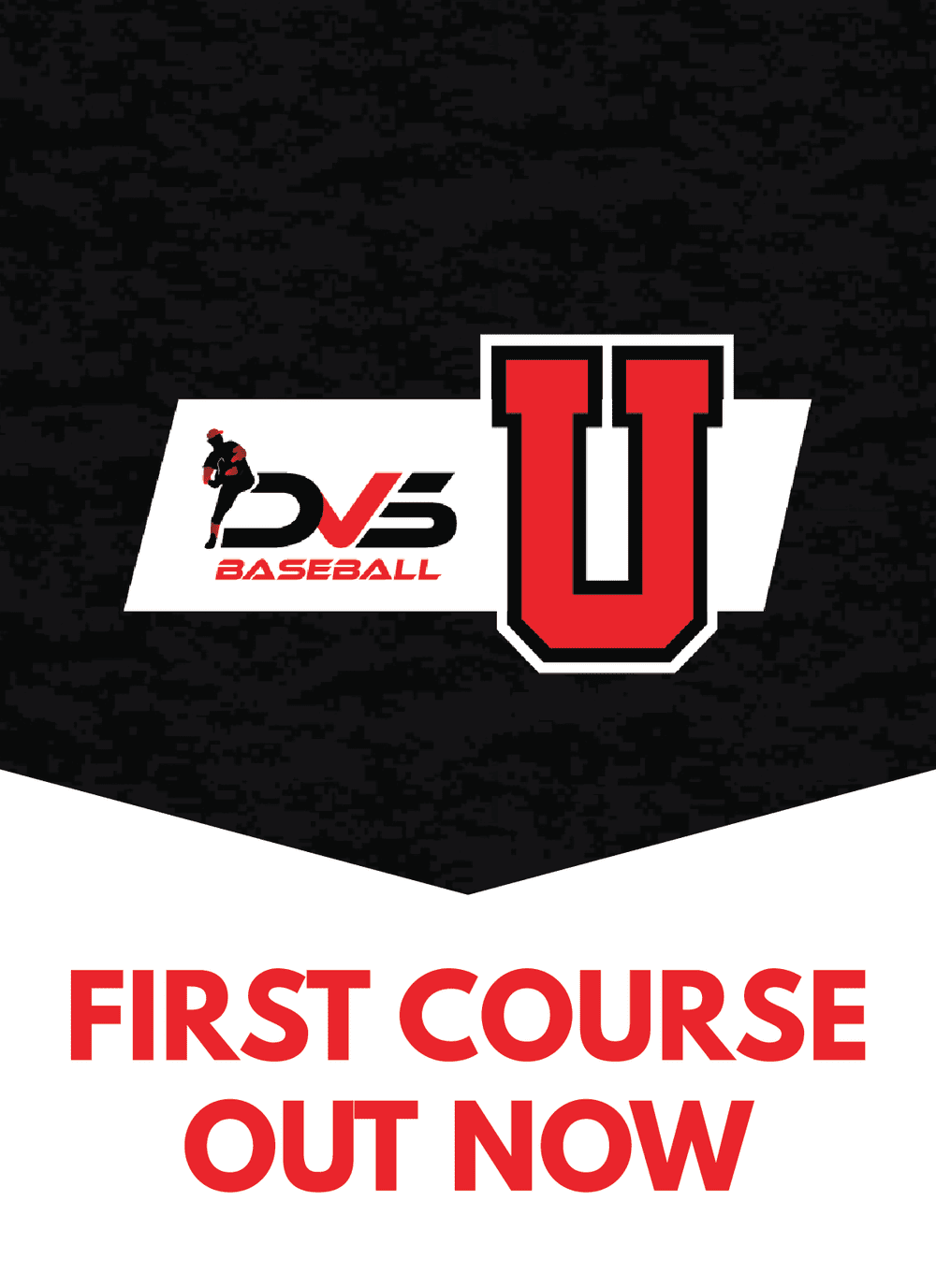 DVS UNIVERSITY IS LIVE. — DVS BASEBALL