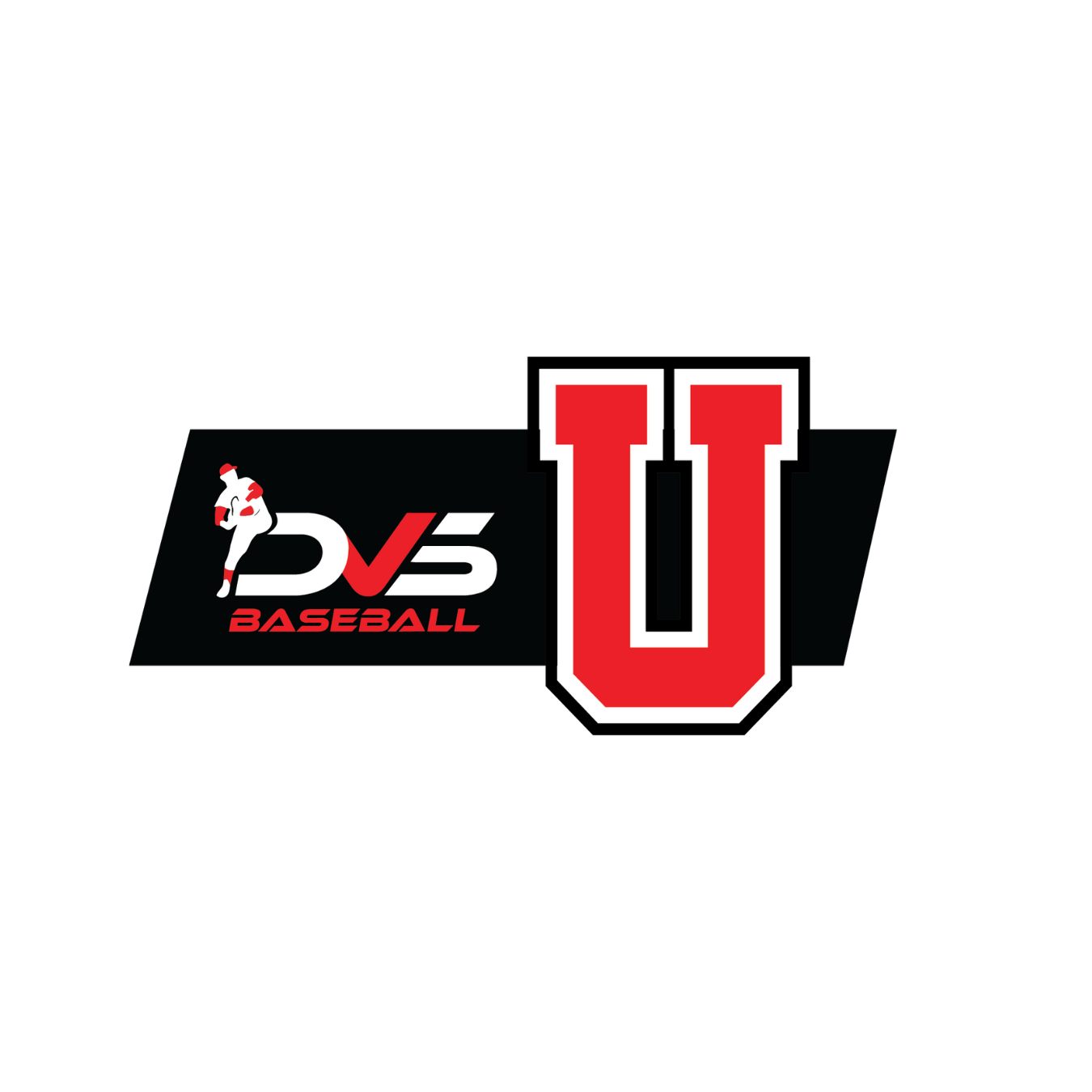 DVS Baseball | Pitching Development, Biomechanics, and Injury Prevention