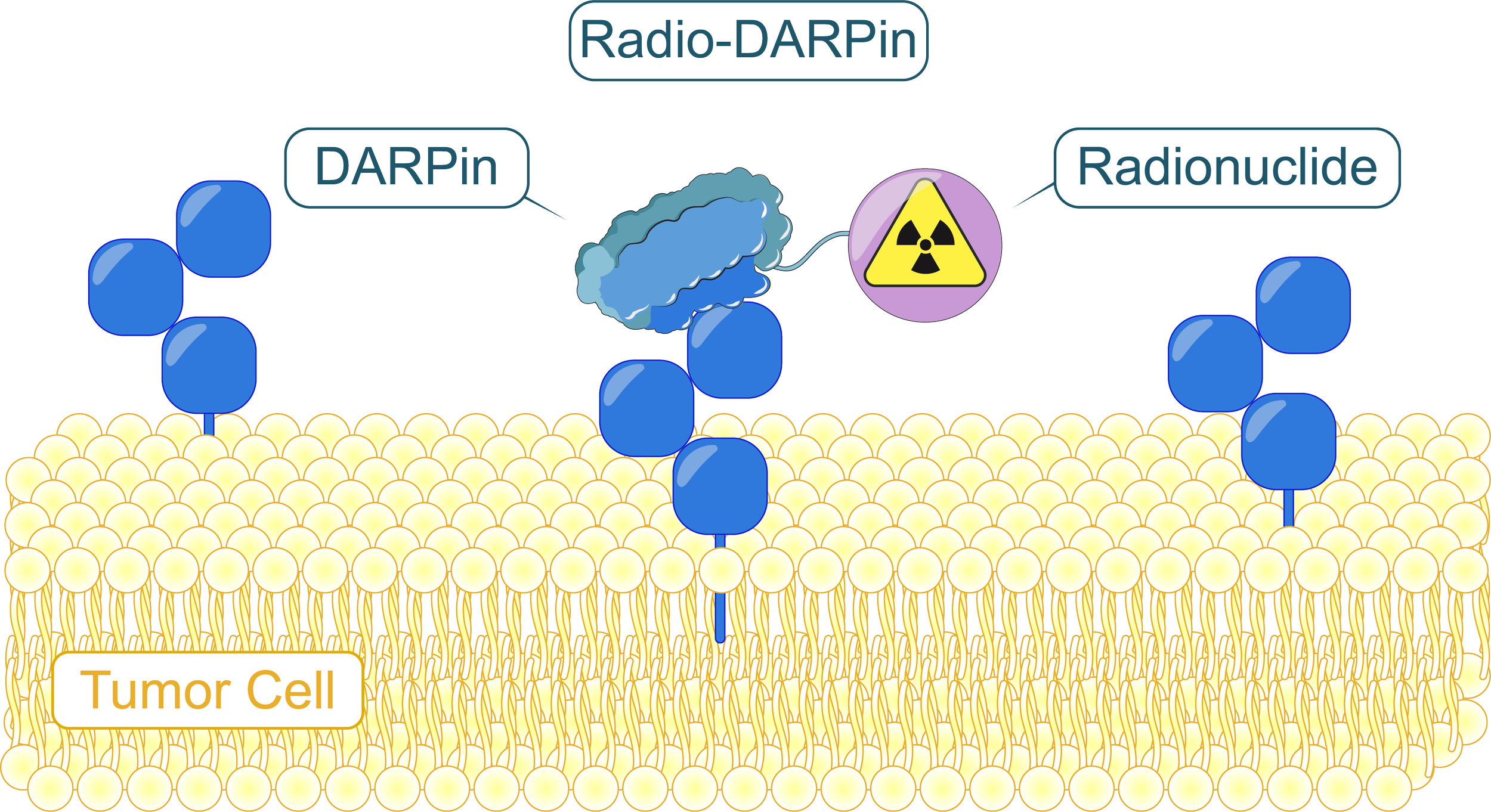 Technology — ATHEBIO
