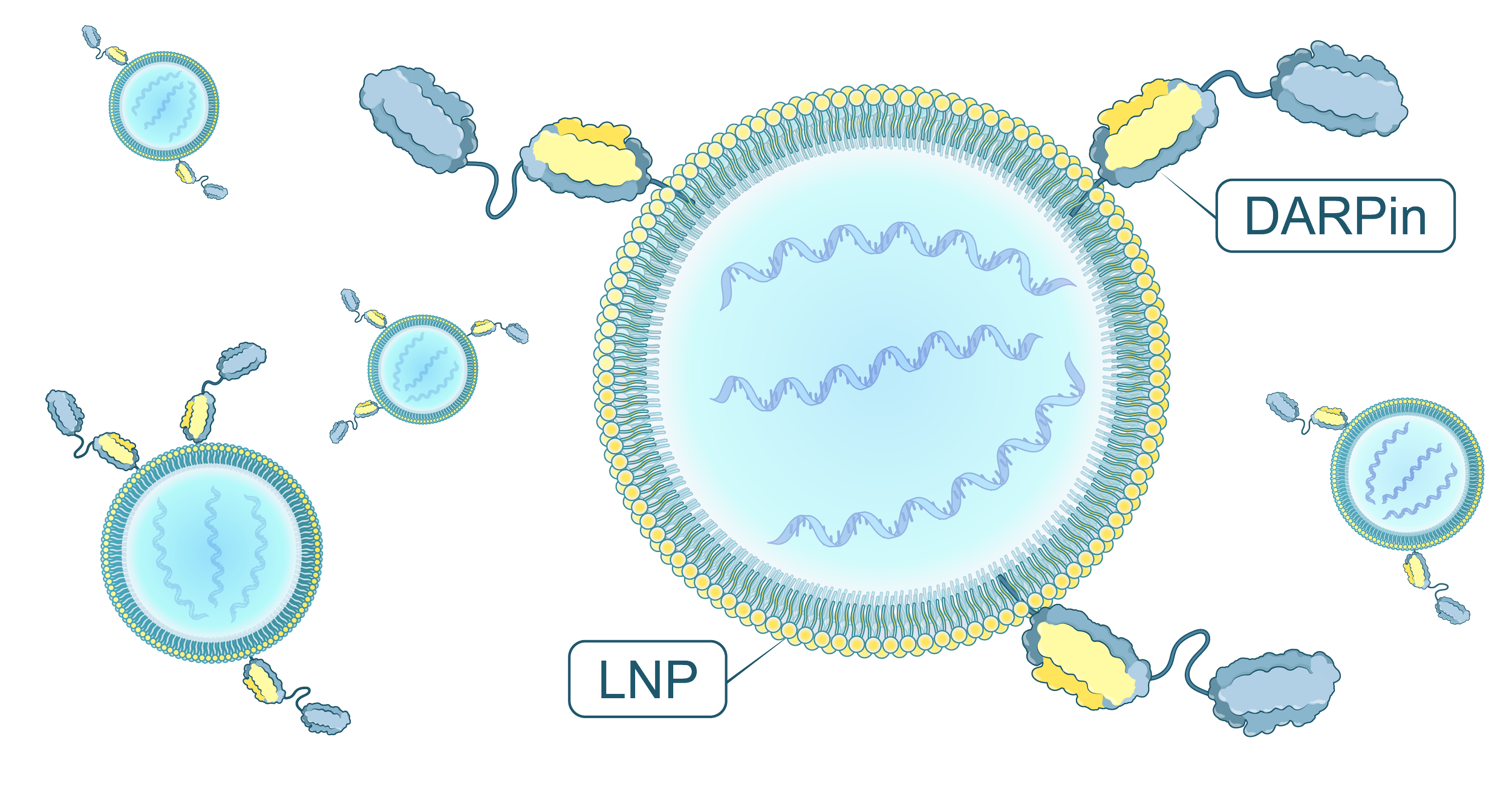 Technology — ATHEBIO