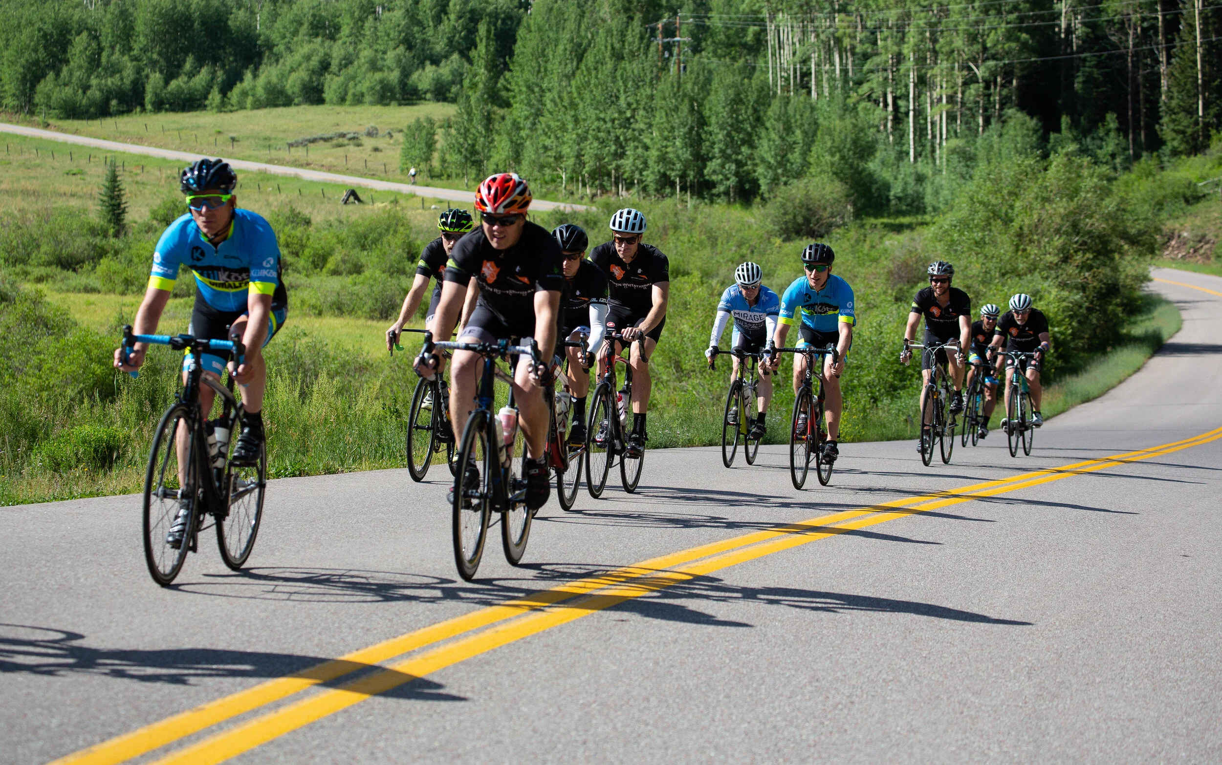 Gallery — Brake The Cycle