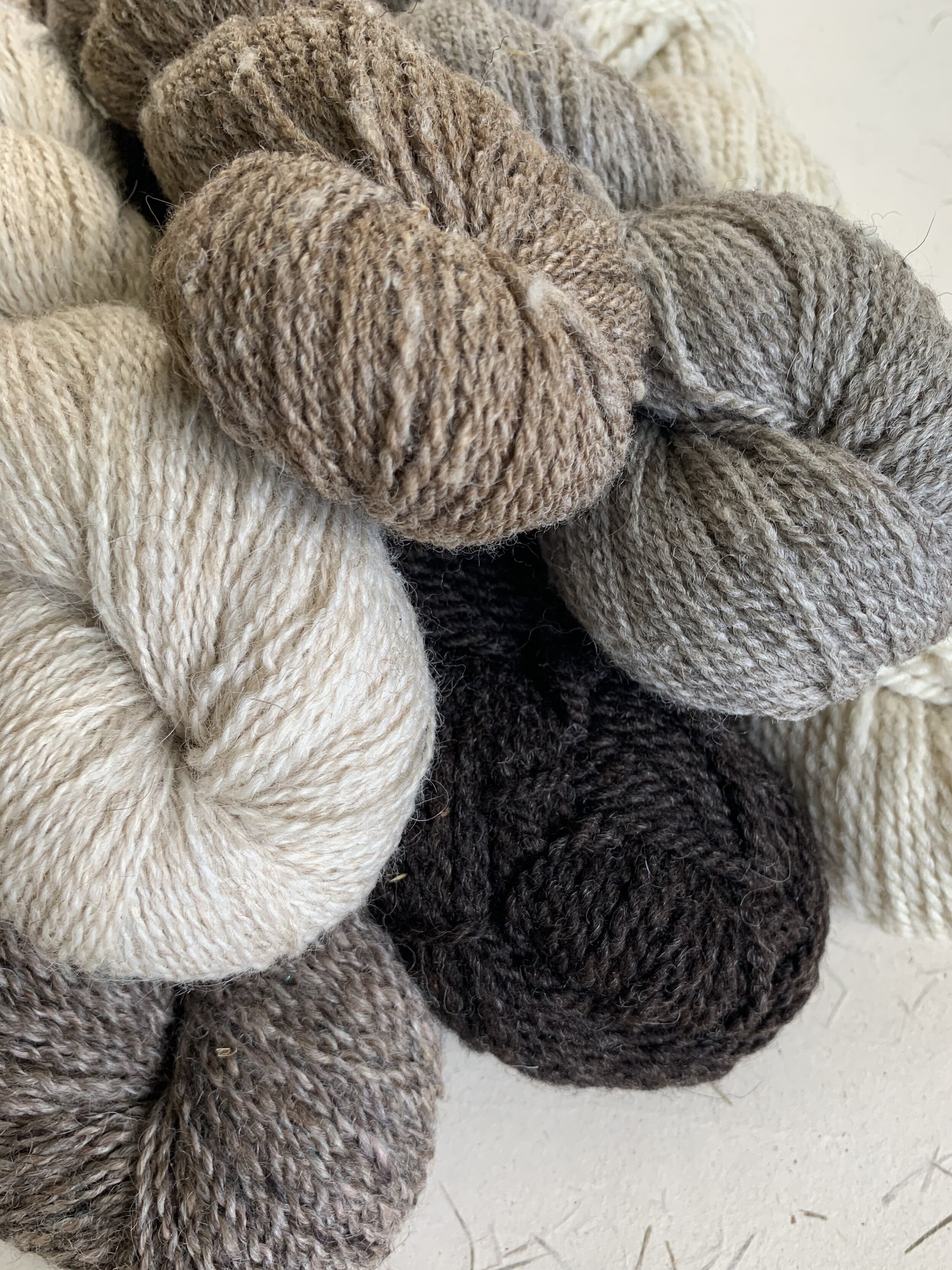 shop — flower hill fleeces