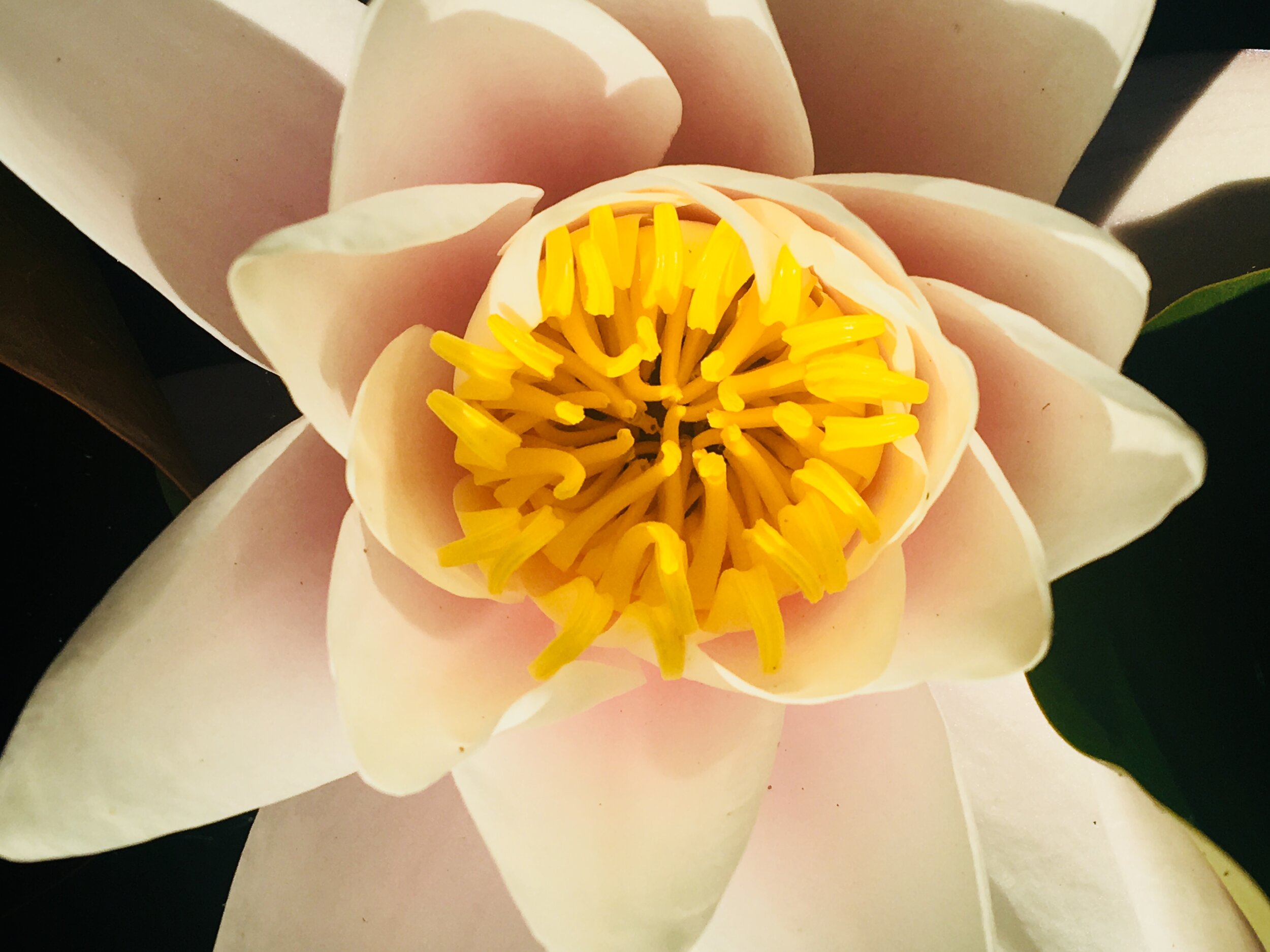 Brooks Farms and Gardens | Grants Pass Landscape Design and ...