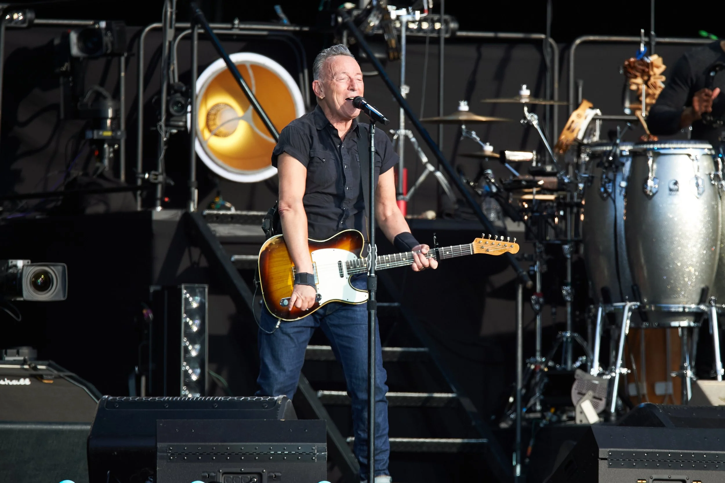 Last Man Standing - Bruce Springsteen at BST Hyde Park — Moths and Giraffes