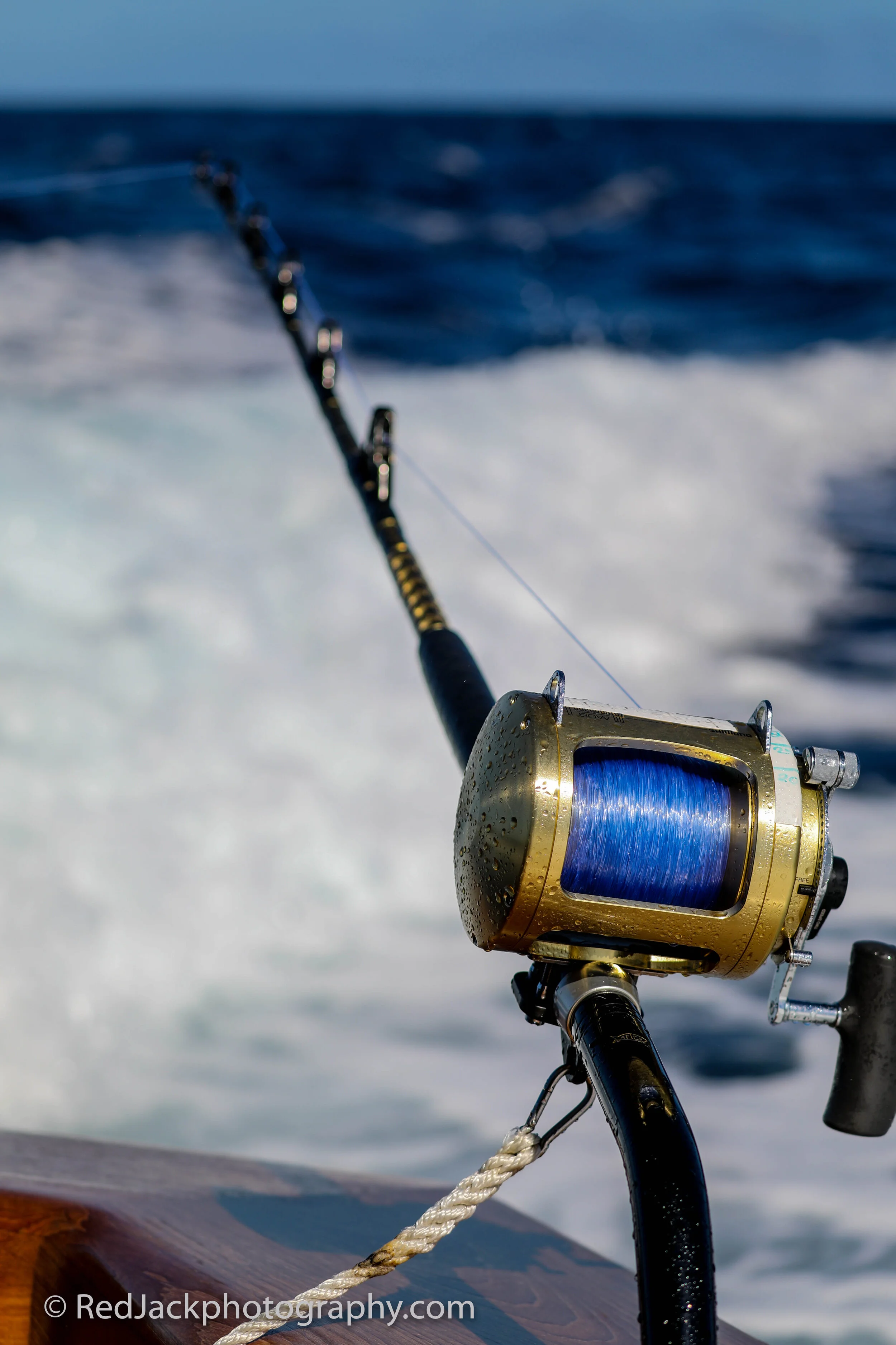 Reel Quest — RedJack Photography