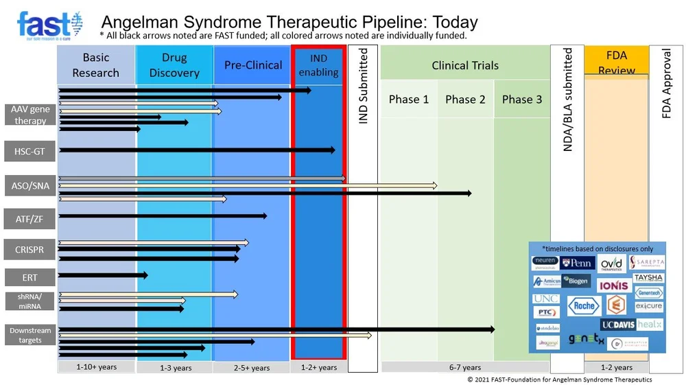 Foundation For Angelman Syndrome Therapeutics