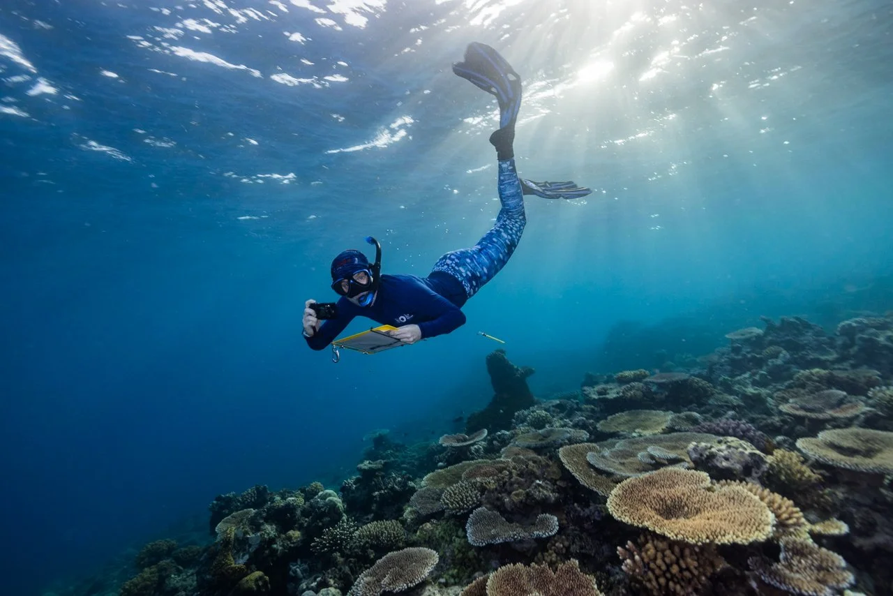 James Cook University: Women of the Reef — Harriet Spark
