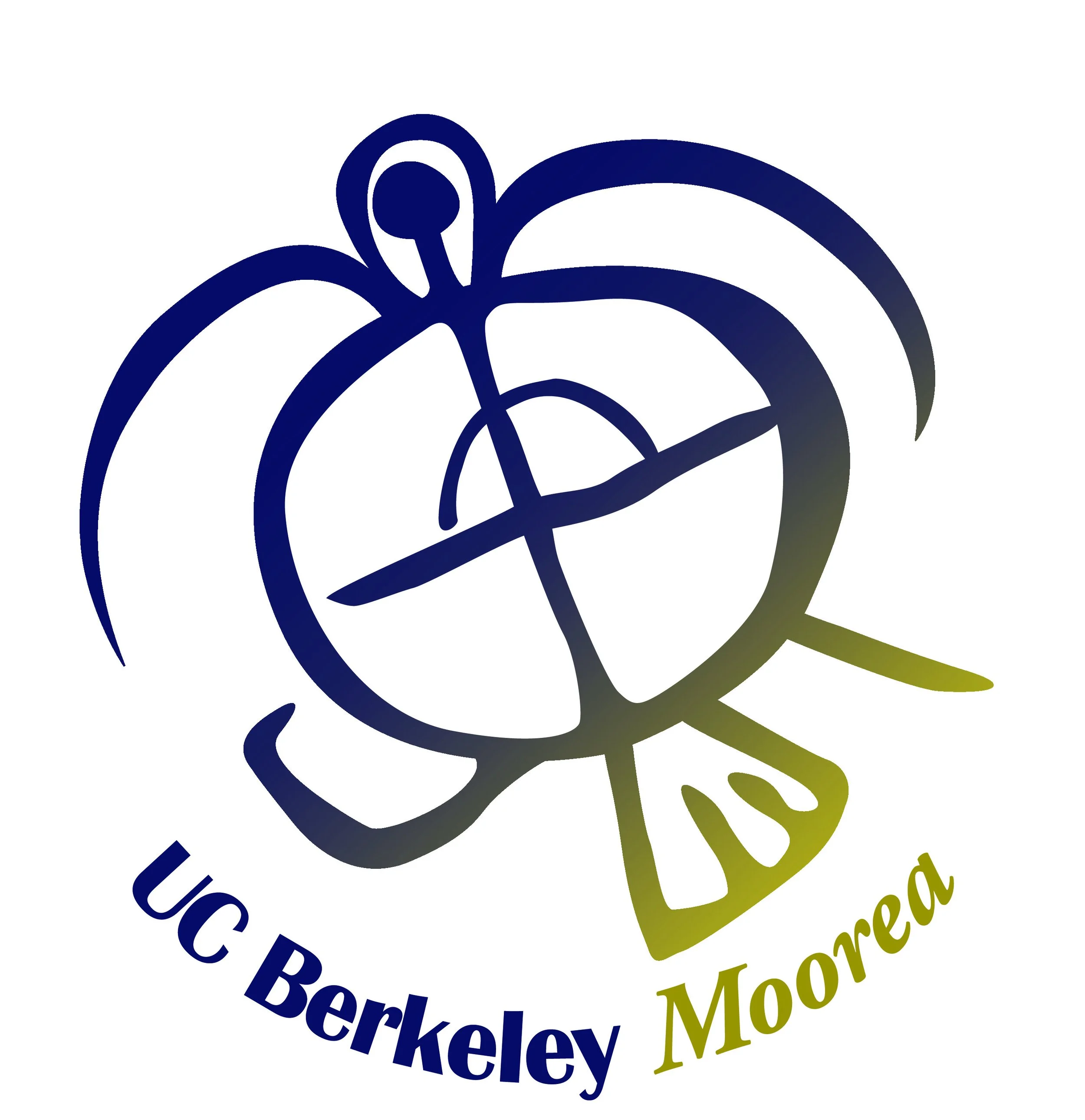 Illustration — Cerulean Creative