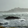 When Dennis and Ciara came to Tiree. How To Survive Winter On A Tiny ...