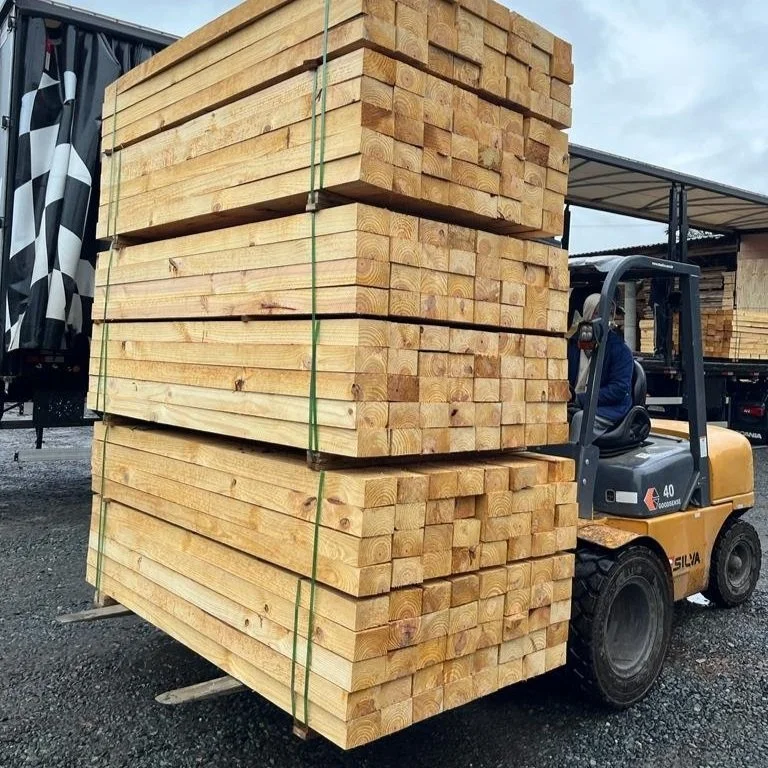 Evolvo Internacional