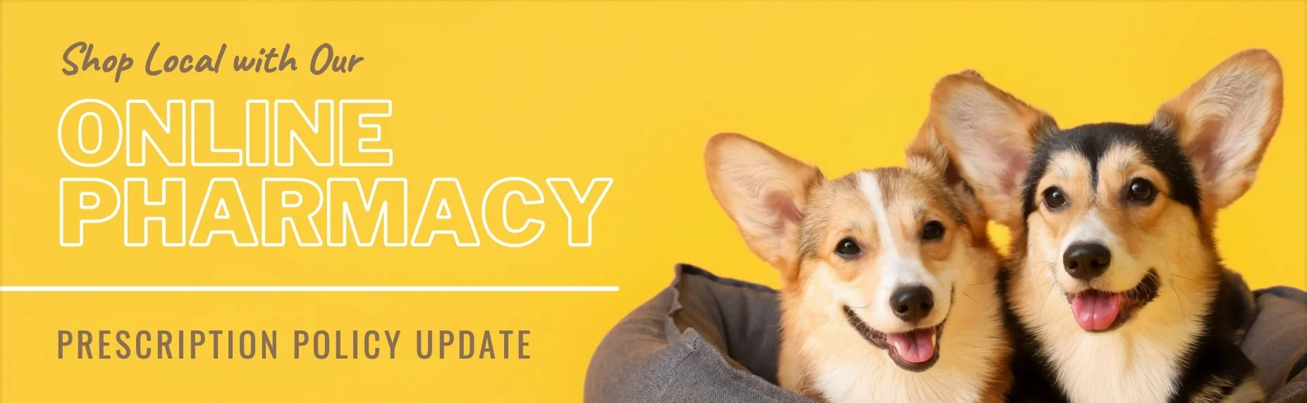 Lexington Pet Clinic