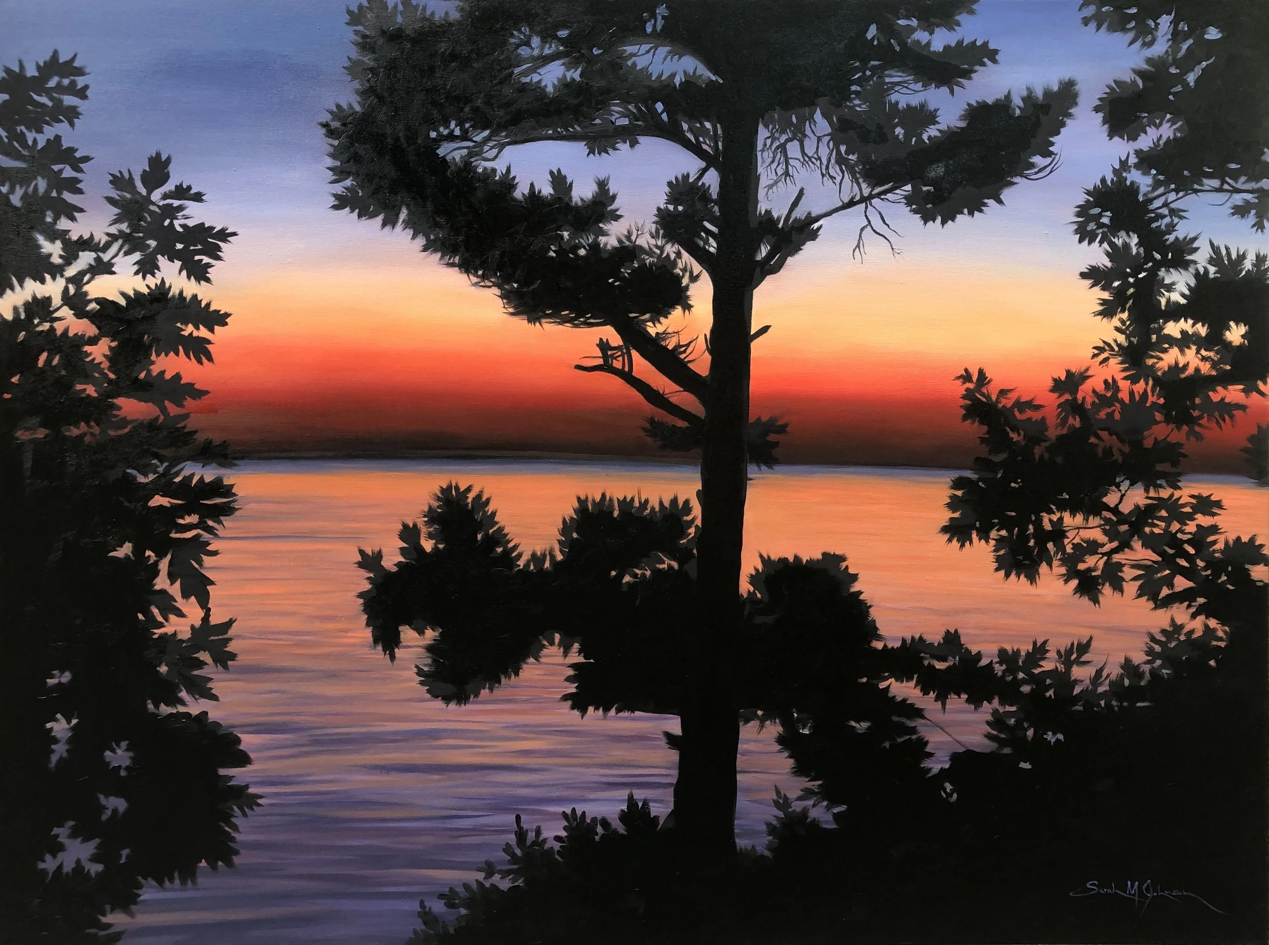 Sarah M Johnson Art