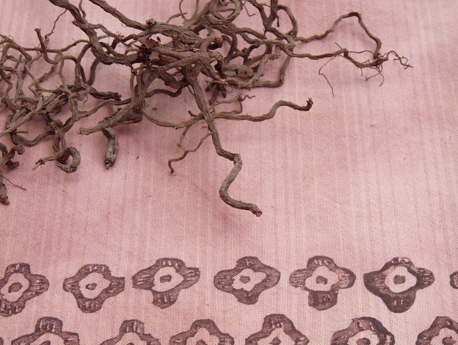 Wild Earth Textiles