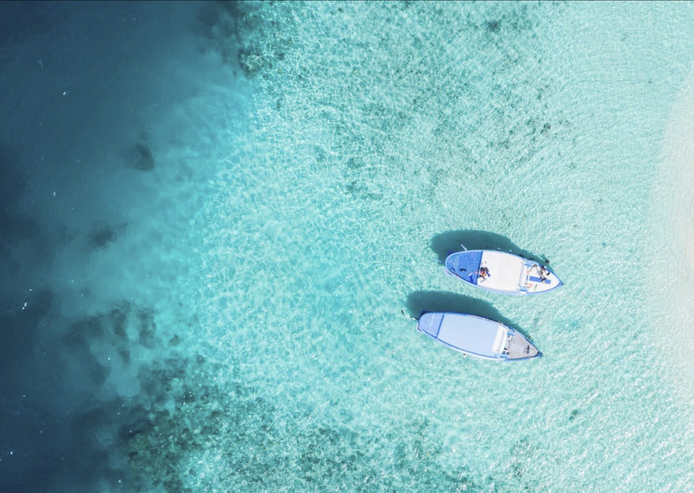 CSL Fellowship FAQs — Climate Safe Lending Network