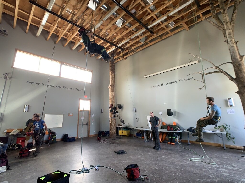 Careers — BC Plant Health Care, SavATree Canada Inc. | Tree Care ...